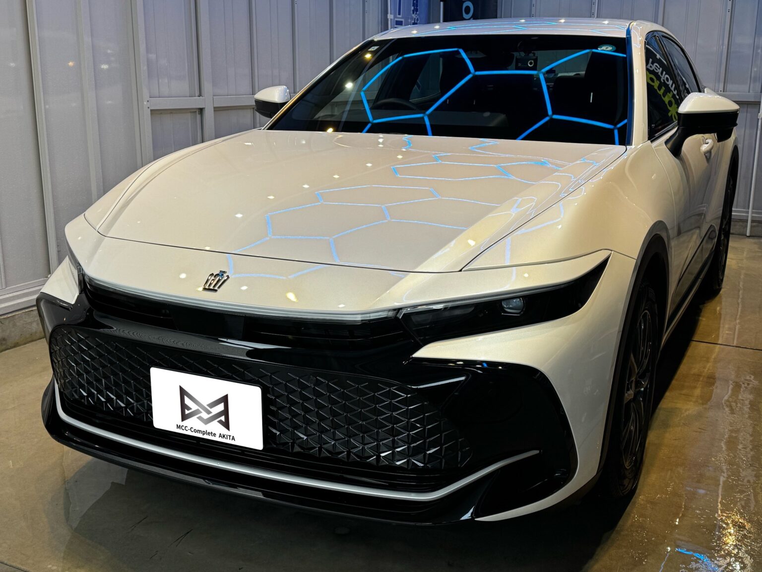 MCC-COMPLETE AKITA | MCC-Complete